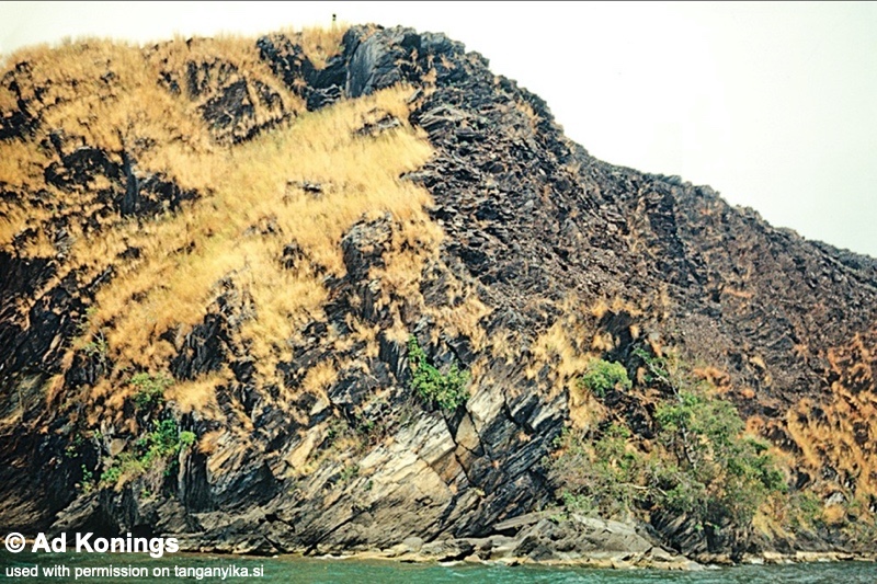 Bendela (Cape Popelin), Lake Tanganyika, DR Congo