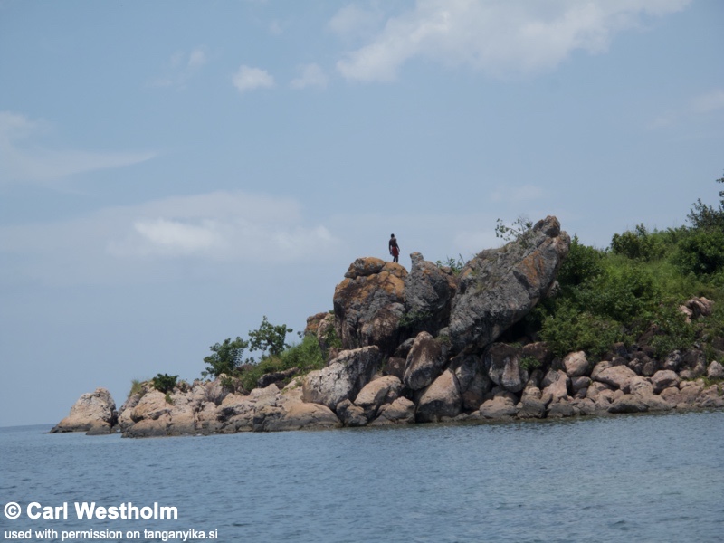 Cape Bangwe, Lake Tanganyika, Tanzania