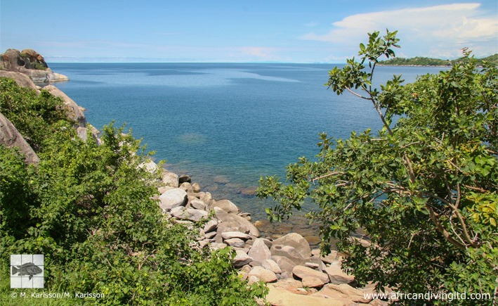 Kolwe Point, Cape Mpimbwe, Lake Tanganyika, Tanzania
