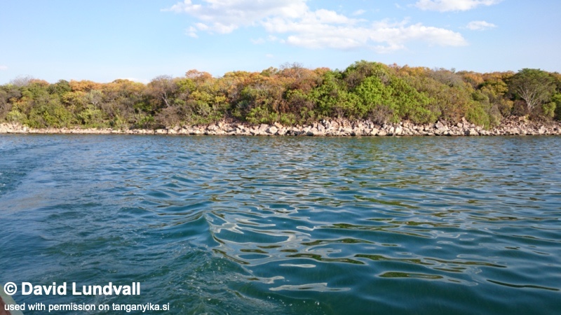 Ilangi, Lake Tanganyika, Zambia