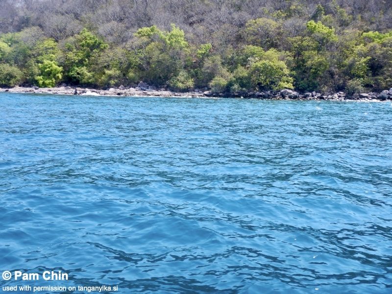 Inangu Peninsula, Lake Tanganyika, Zambia