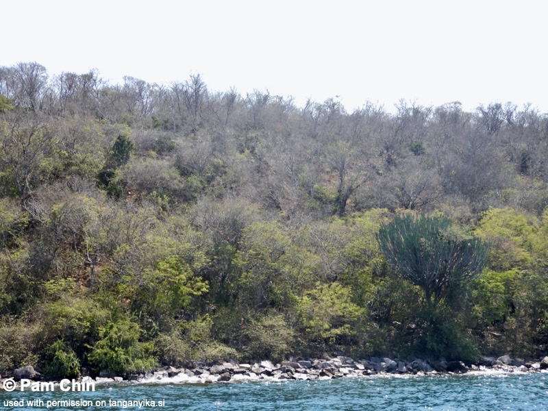 Inangu Peninsula, Lake Tanganyika, Zambia
