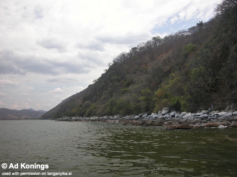 Isonga, Lake Tanganyika, Tanzania