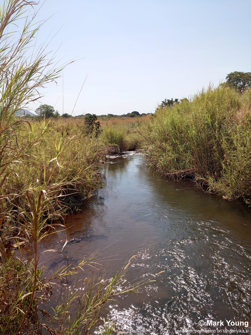 Izi River, Lake Tanganyika, Zambia