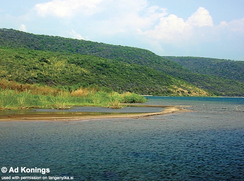 Kalambo River, Lake Tanganyika, Tanzania/Zambia