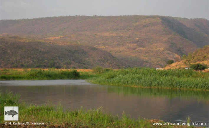 Kalambo River, Lake Tanganyika, Tanzania/Zambia