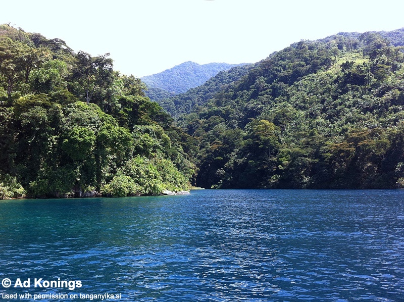 Kilima, Lake Tanganyika, DR Congo