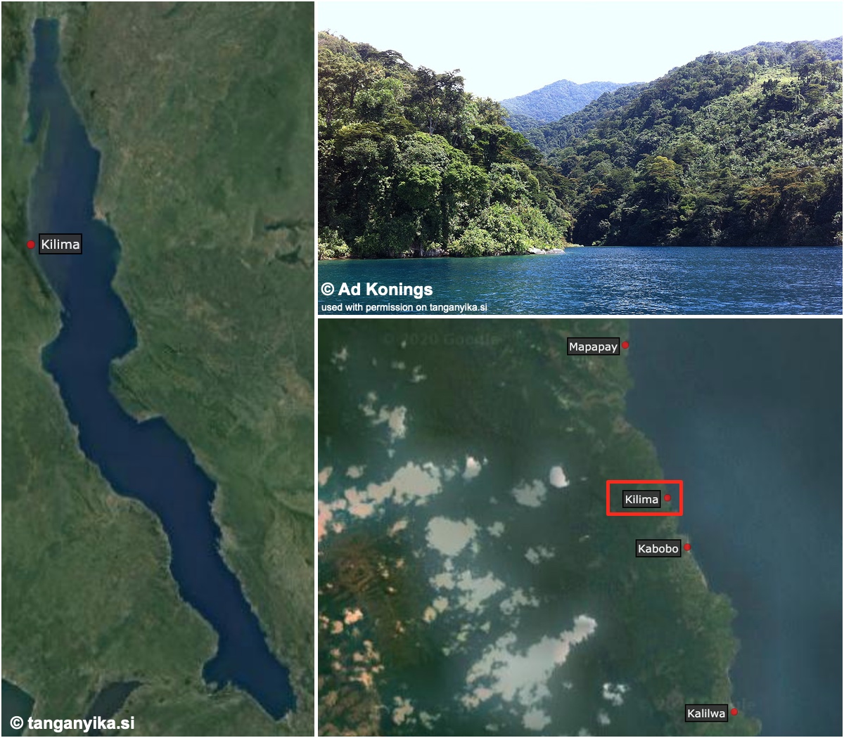 Kilima, Lake Tanganyika, DR Congo