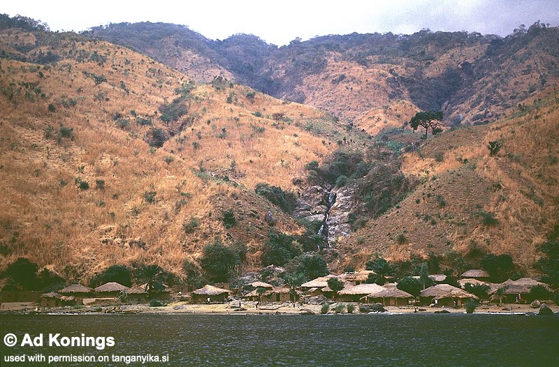 Kitumba, Lake Tanganyika, DR Congo