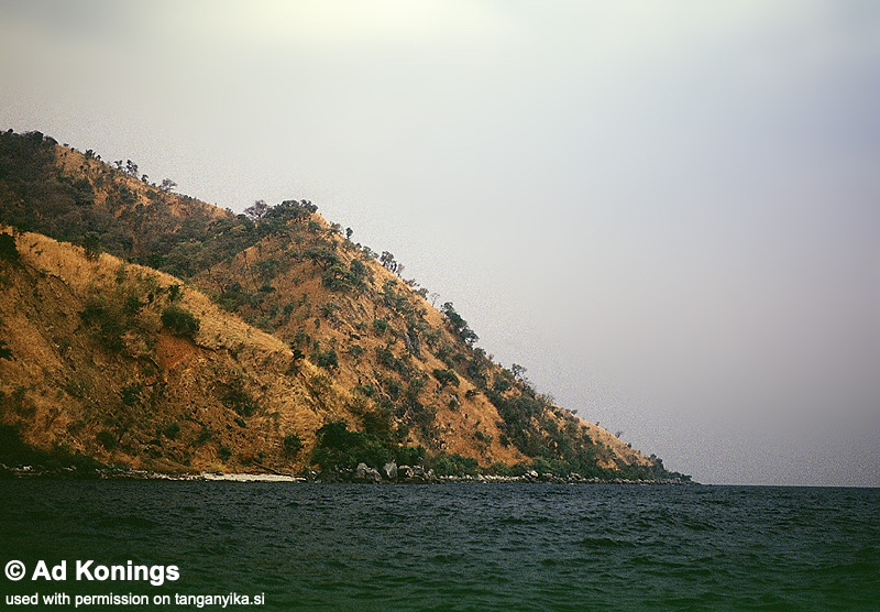 Kitumba, Lake Tanganyika, DR Congo