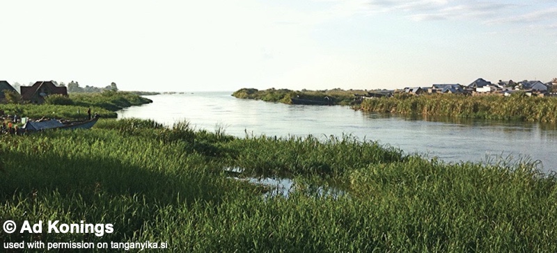 Lukuga River, Lake Tanganyika, DR Congo