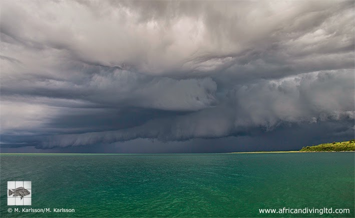 Maswa Point, Lake Tanganyika, Tanzania