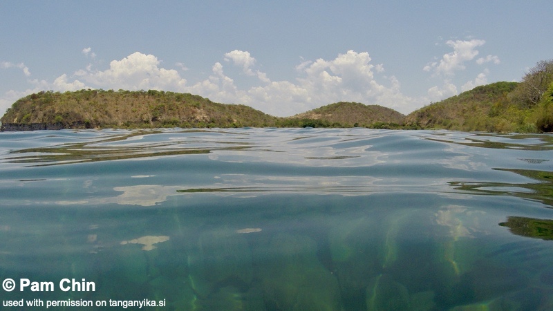 Mbita (Kumbula) Island, Lake Tanganyika, Zambia