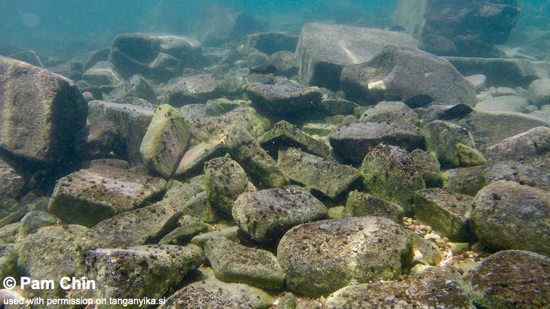 Mbita (Kumbula) Island, Lake Tanganyika, Zambia