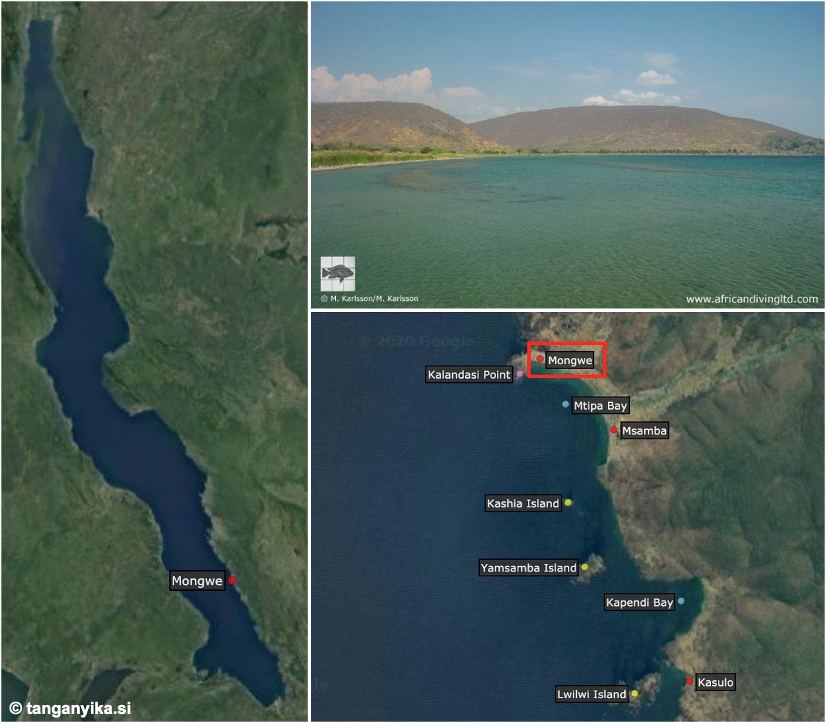 Mongwe, Mtipa Bay, Lake Tanganyika, Tanzania