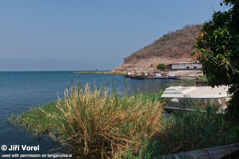 Mpulungu, Lake Tanganyika, Zambia