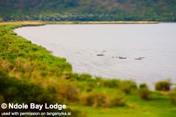 Nkamba Bay, Lake Tanganyika, Zambia