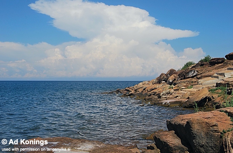 Nyanza-Lac, Lake Tanganyika, Burundi